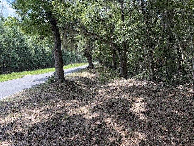 4491 SC 165, Hollywood, SC 29449