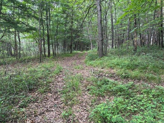 449th St Lots 19 & 20, Menomonie, WI 54751