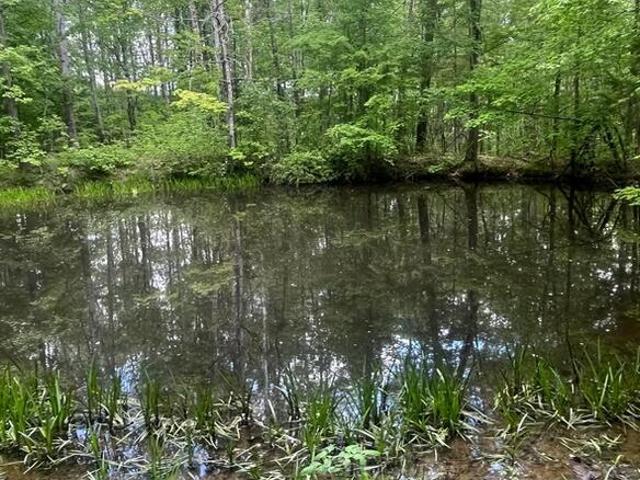 449 Doug Thompson Rd