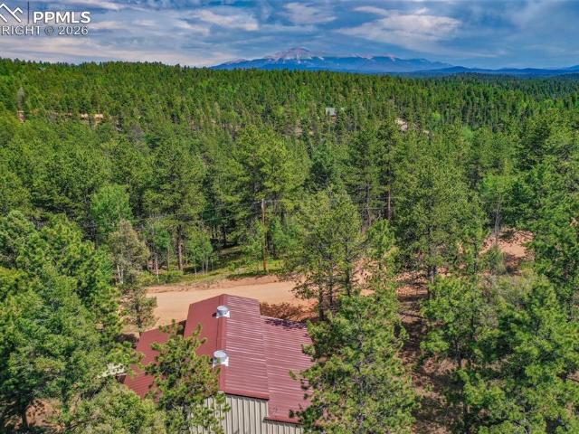 449 Woody Creek Rd, Divide, CO 80814 | MLS #2881 | Compass