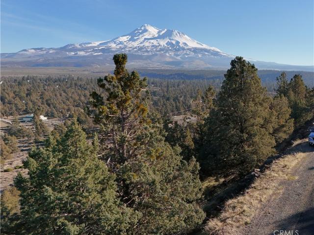 44 43 Dwinnell Rd, Weed, CA 96094 | MLS #SN26019