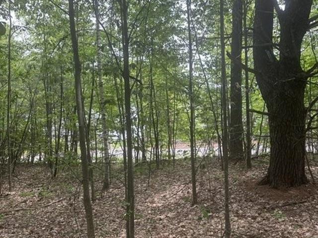 44.1 Lovell Lake Rd, Wakefield, NH 03872