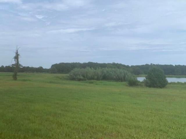 44.25 Ac Old Sanders Drive