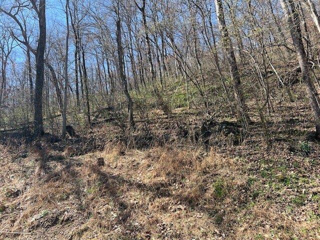 44 Wildcat Dr Lot 41, Holiday Island, AR 72631