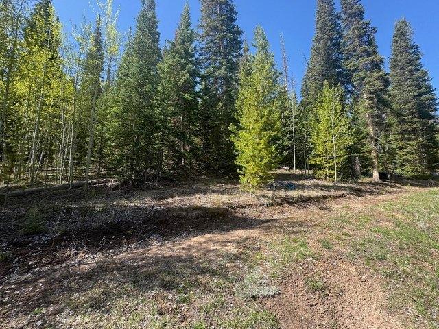 44 Wilderness Rd, Walden, CO 80430