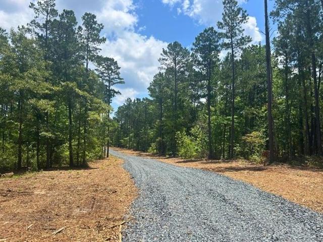 44 Ac Tbd Harkins Ln, Marshall, TX 75672