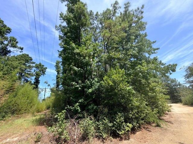 44 Ac Fm 3414, Jasper, TX 75951