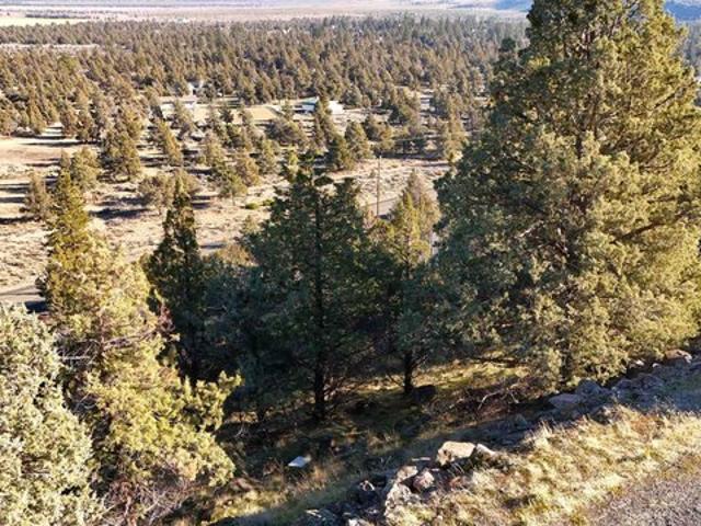 44 and 43 Dwinell Dr, Weed, CA 96094