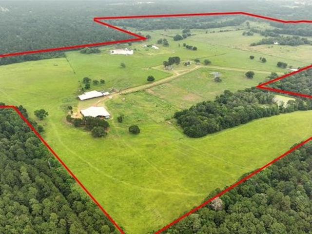 44 Bucking Bull Rd, New Waverly, TX 77358