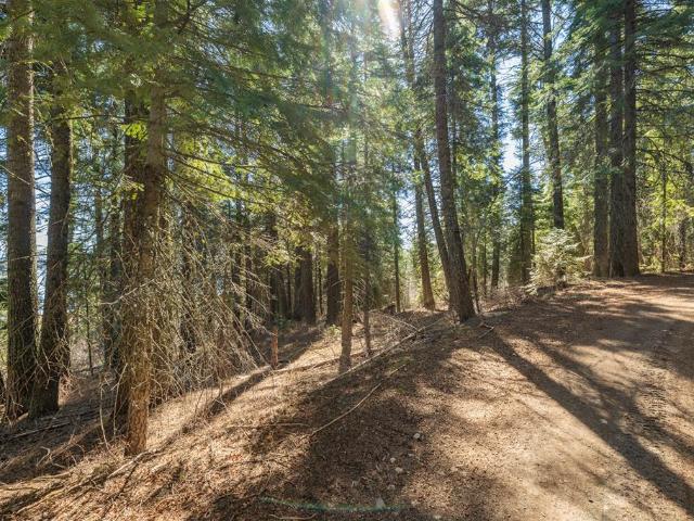 44 Burnt Wagon Trail, Donnelly, ID 83615 | MLS #544136 | Compass