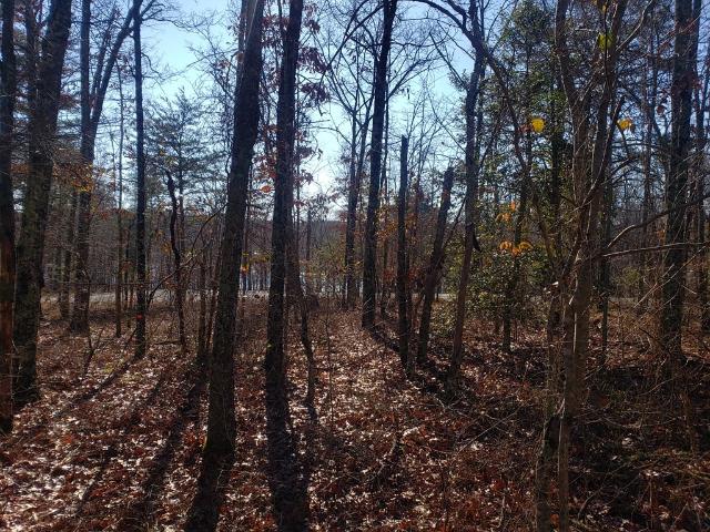 44 Hemlock Ln, Spencer, TN 38585 | MLS #3036