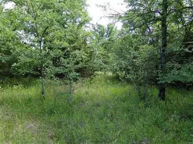 44 Lakeshore, Mc Alester, OK 74501 644101231