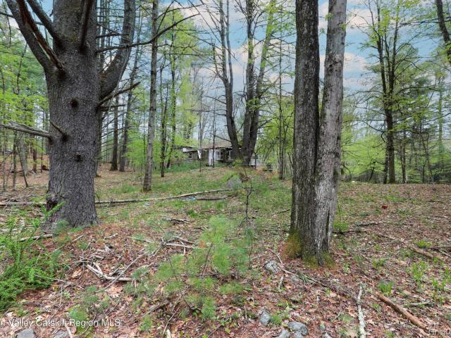 44 Pine Grove Road