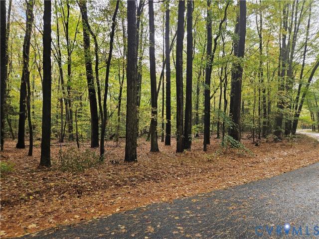 44 Presley Creek Dr, Heathsville, VA 22473 | MLS #2529