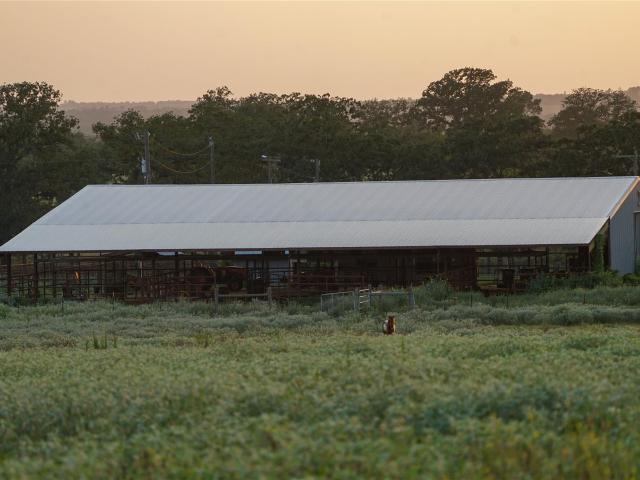 4504 State Highway 304