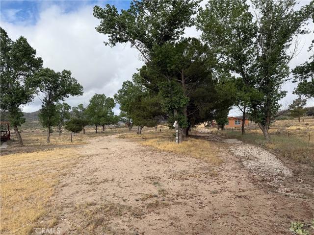 45051 Bonny Lane