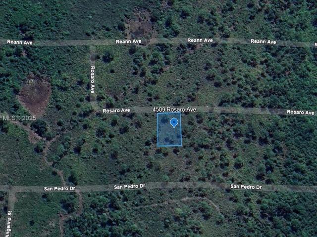 4509 Rosaro Ave, Sebring, FL 33872 | MLS #A11747
