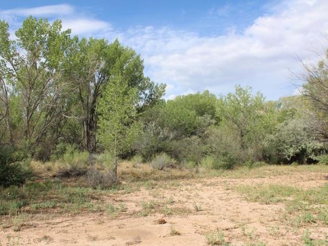 4500 S Notom Rd, Torrey, UT 84775