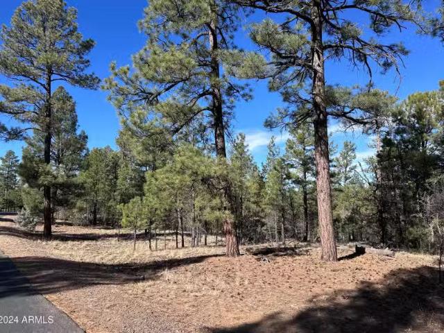 4500 W Foxglove Ln #32, Show Low, AZ 85901 MLS 6783993