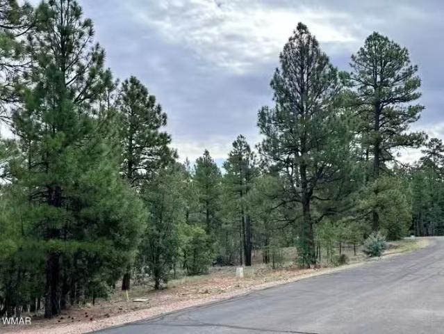 4500 W Foxglove Ln, Show Low, AZ 85901 MLS 253663