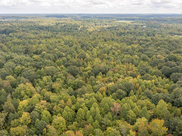 4501 Lot 1 Mill Creek Road