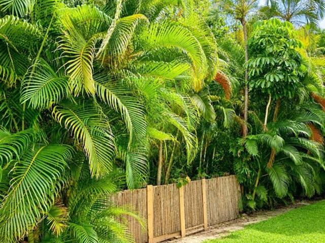 4501 S Ocean Blvd Apt D4, South Palm Beach, FL 33480