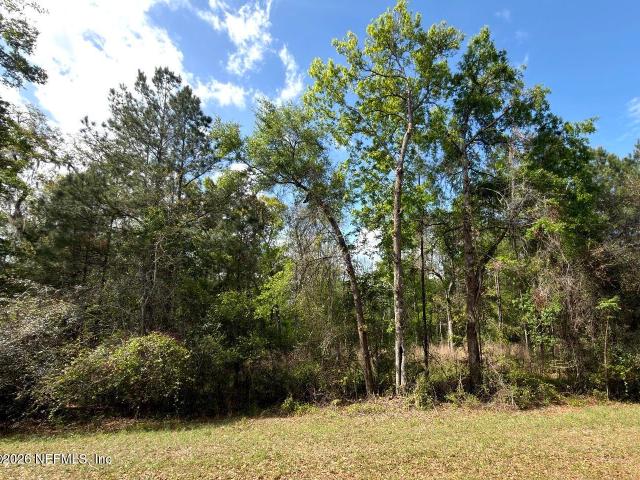 4501 Tarragon Ave, Middleburg, FL 32068 | MLS #2137 | Compass