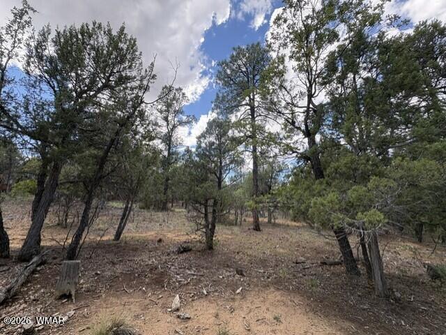 4501 W Birchleaf Lane