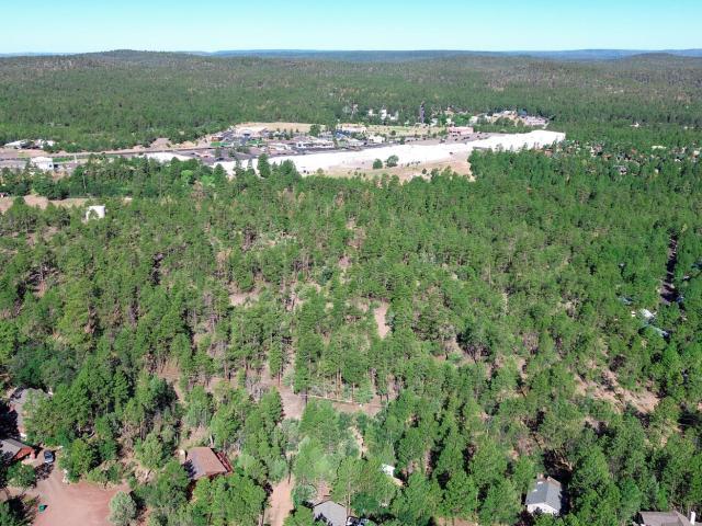 4501 White Mountain Road