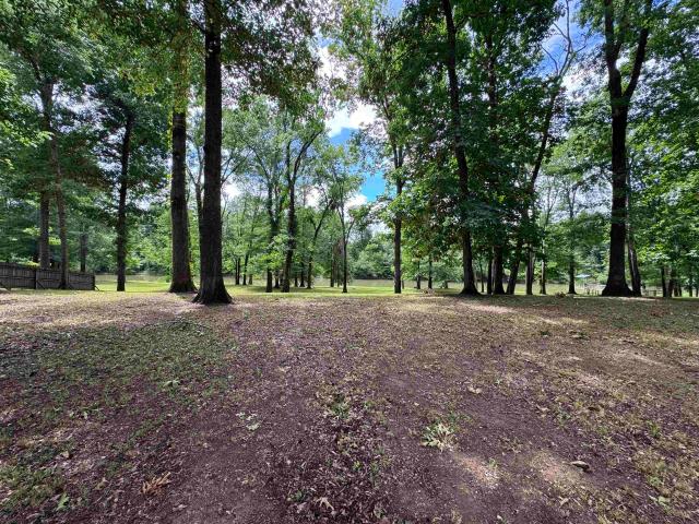 450 460 Teal Ln, Savannah, TN 38372 | MLS #10216