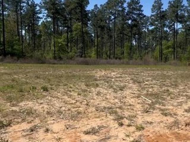 450 Oak Spgs, Nacogdoches, TX 75965