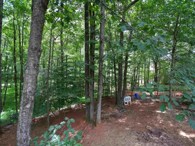 450 Waspnest Road