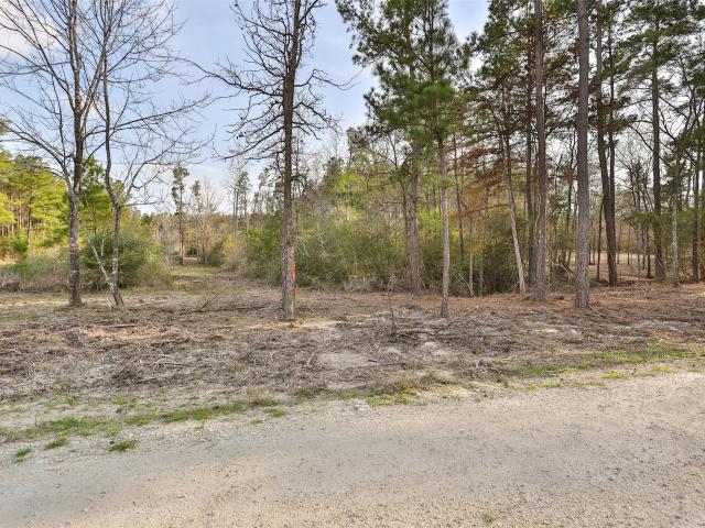 450 williamson way