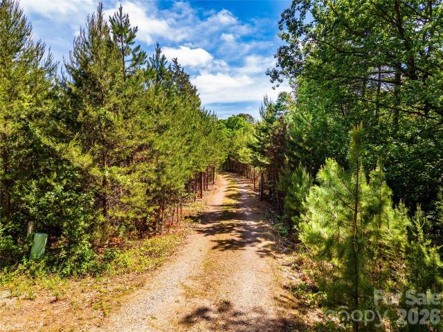 4515 Botany Trail