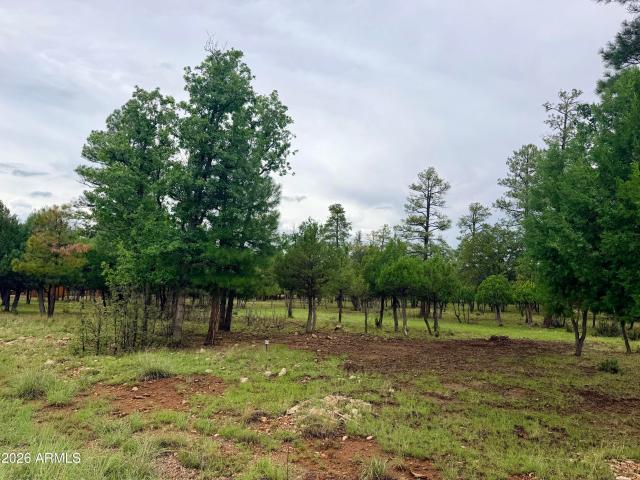 4517 DURANGO Drive # 374