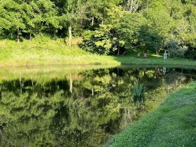 451 Heaton Creek Road