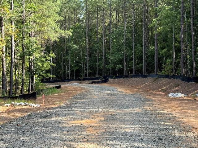 451 Lone Bear Path, Dallas, GA 30132 | Compass