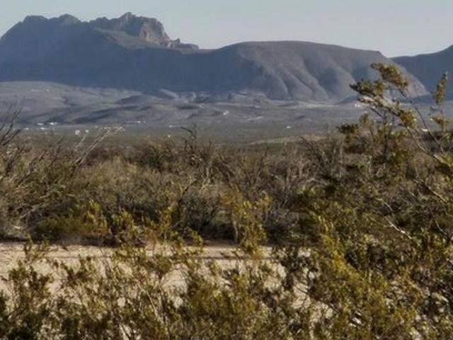 451 N Scotty Rd, Terlingua, TX 79852