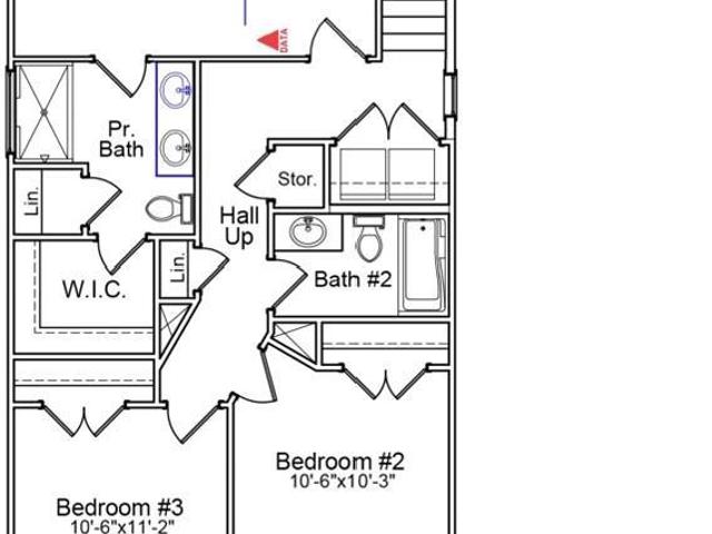 451 Pinaster Path