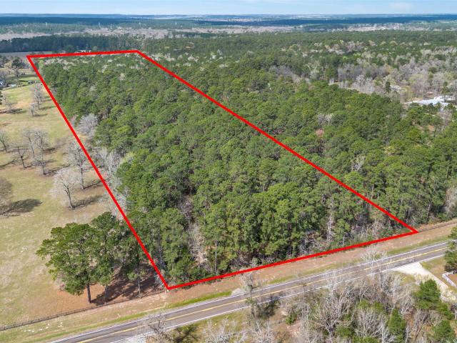 4525 N FM 1486 Road