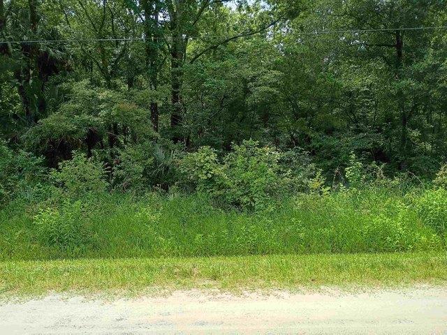 4525 Harold St, Hastings, FL 32145