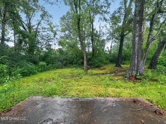 4525 Whitehaven Drive