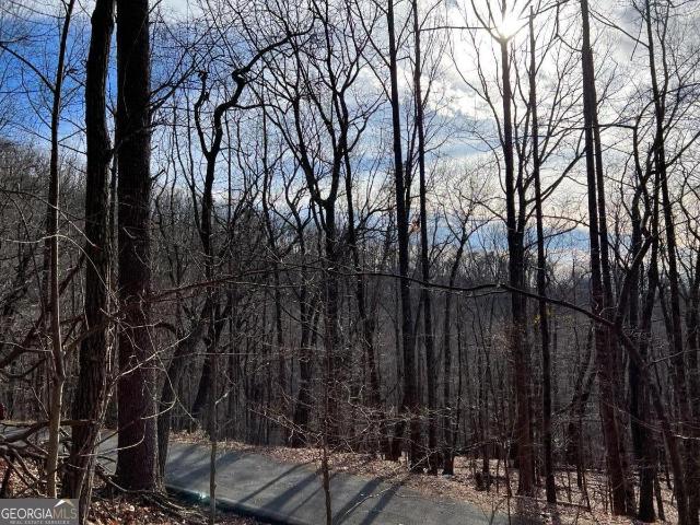 4528 Sassafras Mountain Trail