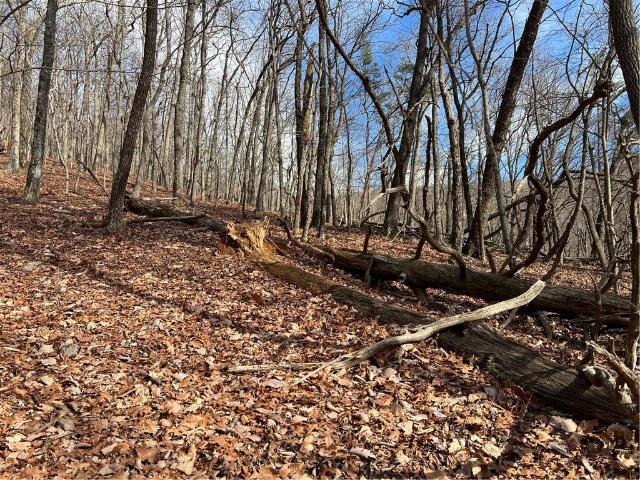 4528 Sassafras Mountain Trail