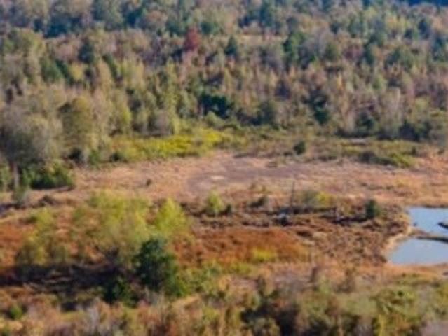 452 C Caney Valley Dr, Plumerville, AR 72127