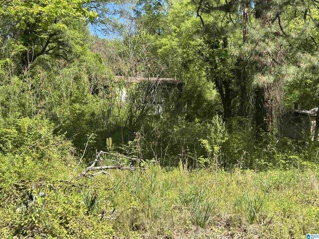 452 Lawson Rd, Birmingham, AL 35217