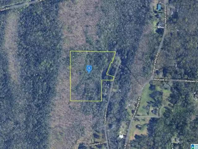 4535 SHEPHERD LN # 0, BIRMINGHAM, AL 35217 Vacant Land For Sal.
