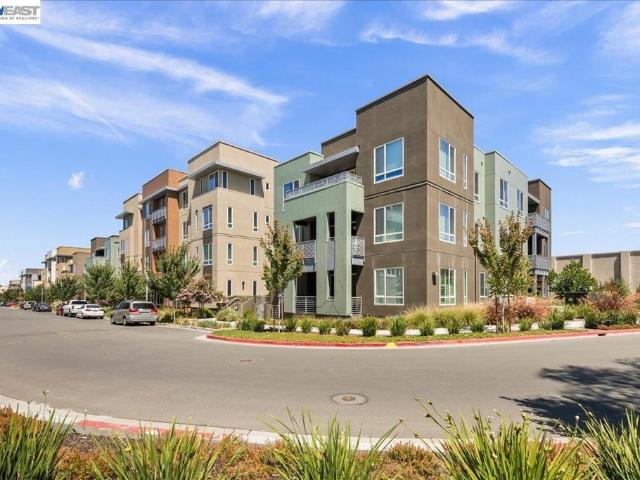 45378 Tom Blalock St 202