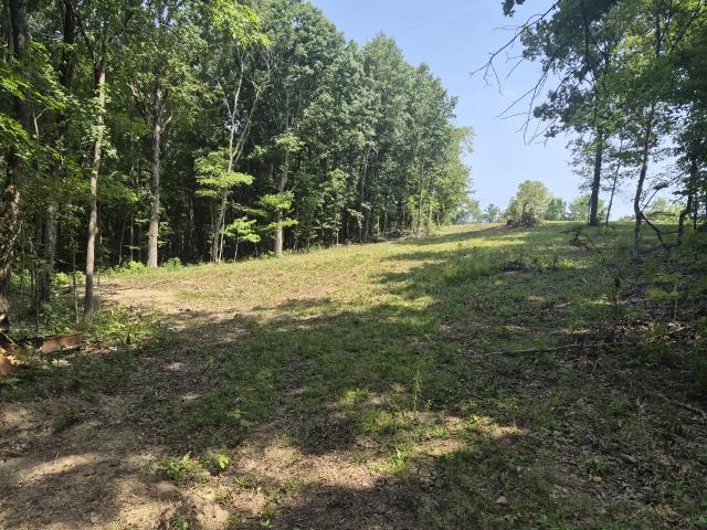 4538 Old Metal Rd