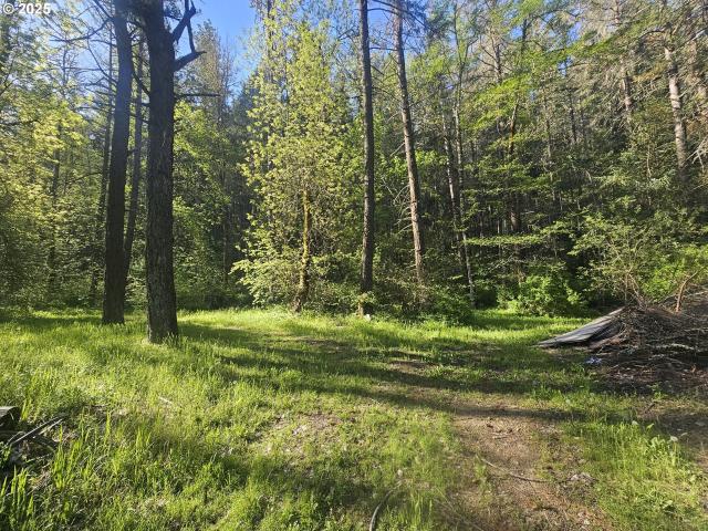 4539 HWY 238
